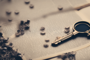 Key Responsibilities. – Icon Shop